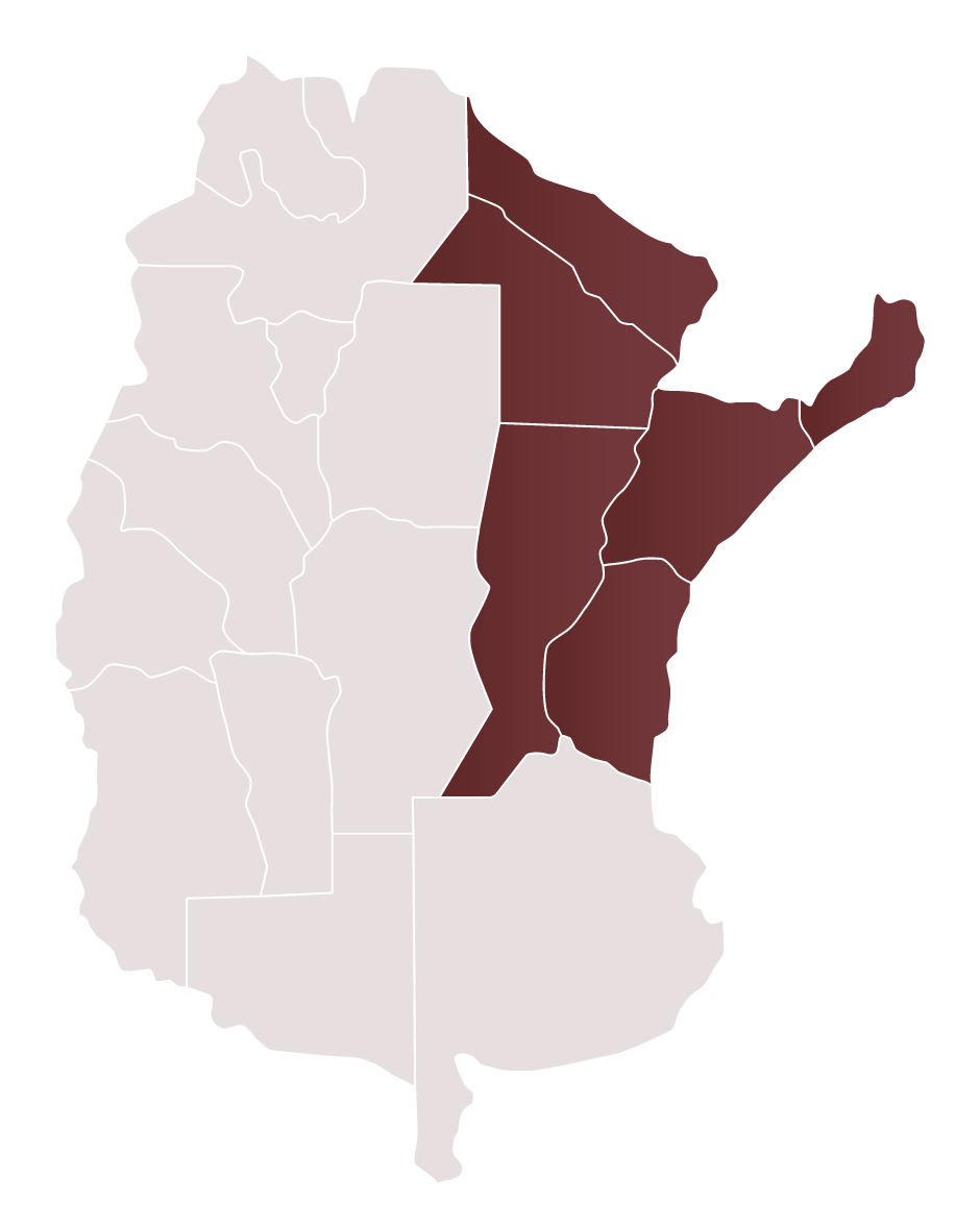 ROIM – Tramitación de ciudadanía española